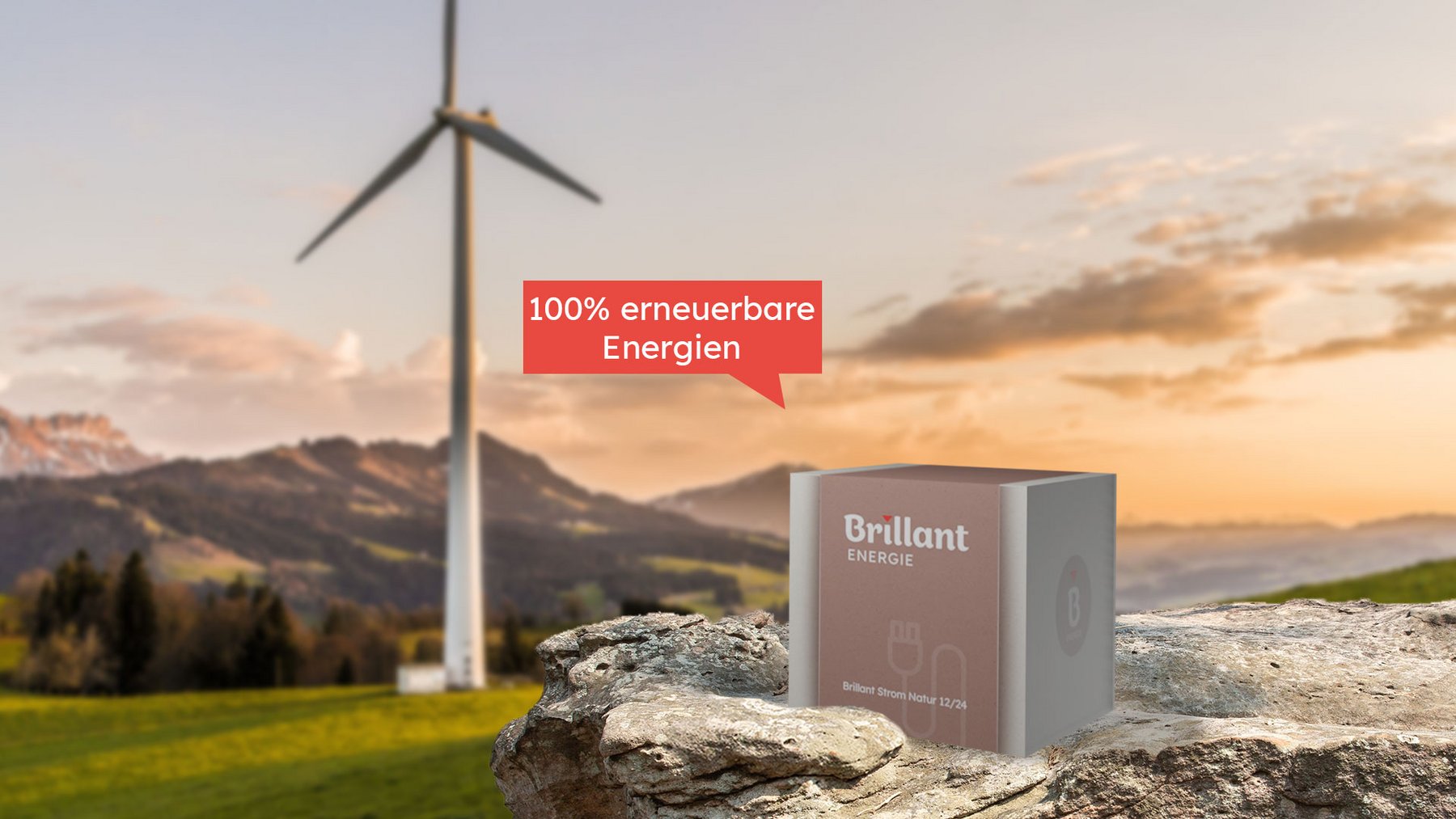 100 % zertifizierter Ökostrom ⚡️ Jetzt wechseln | Brillant Energie